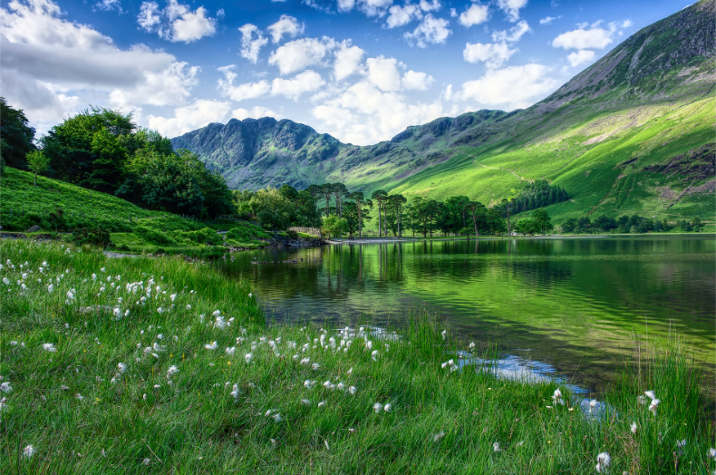 Step into spring in the Lake District - Campaign for National Parks
