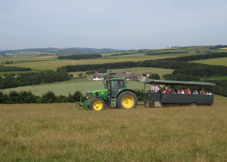 Cluster farming in the South Downs - Campaign for National Parks