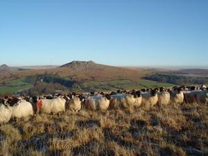 Iconic places created by iconic people – our common land - Campaign for ...