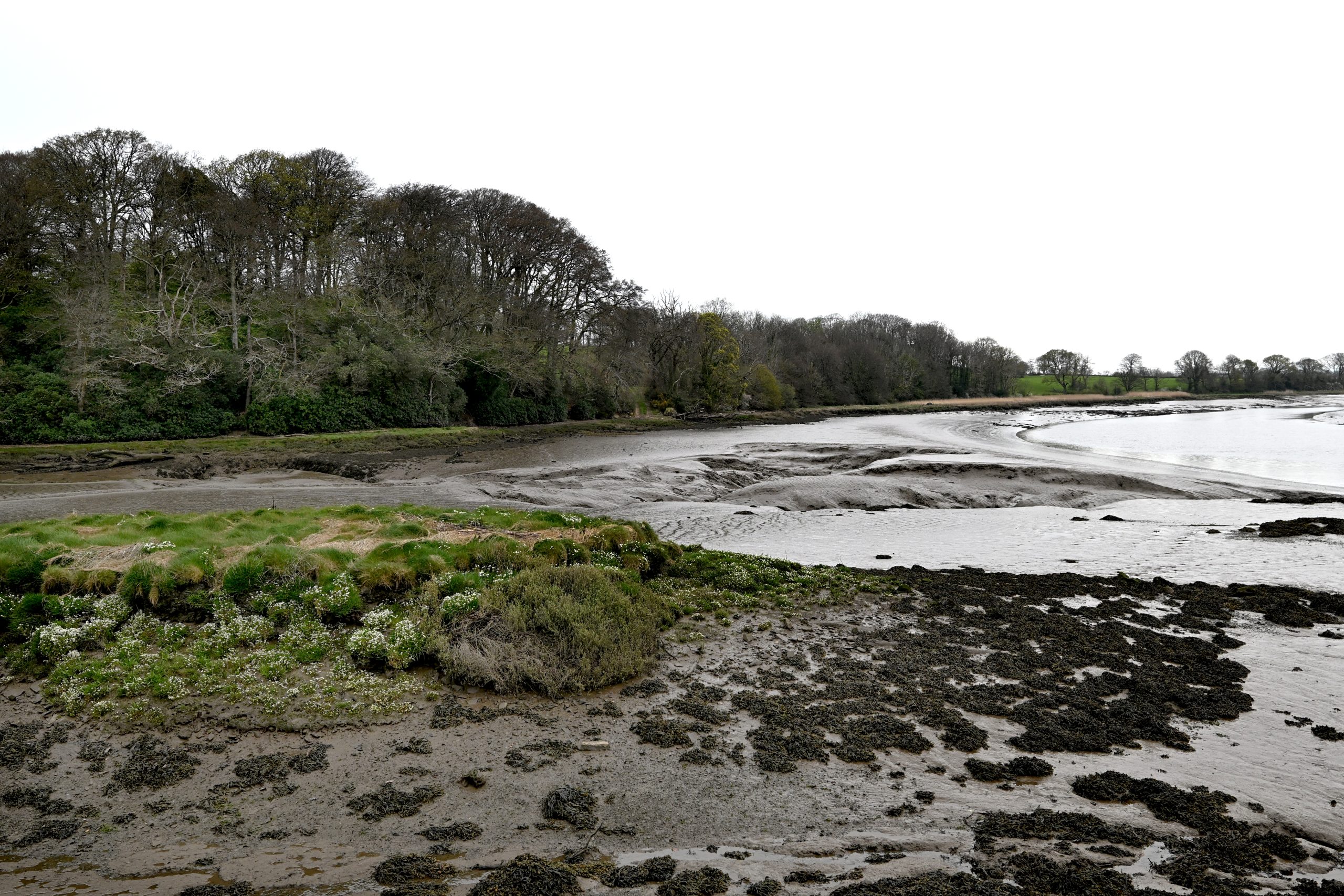 River Cleddau - Campaign for National Parks